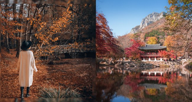 Best Places to See Autumn Leaves in Korea 2022 - Klook Travel Blog