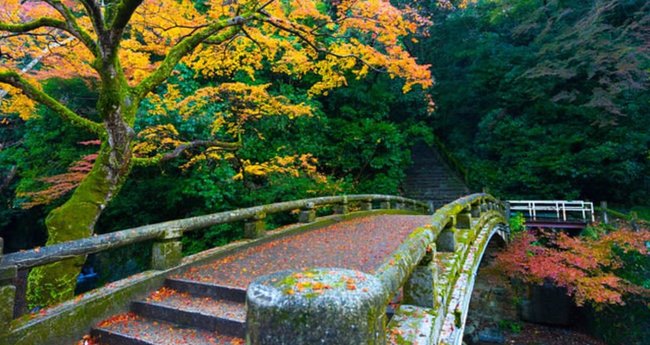The Ultimate Guide to Autumn in Japan: Best Sights, Spots, and More ...
