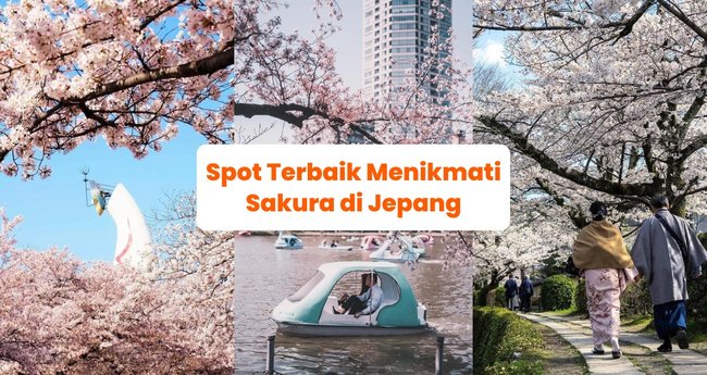 16 Tempat Terbaik Melihat Bunga Sakura di Jepang - Klook Blog
