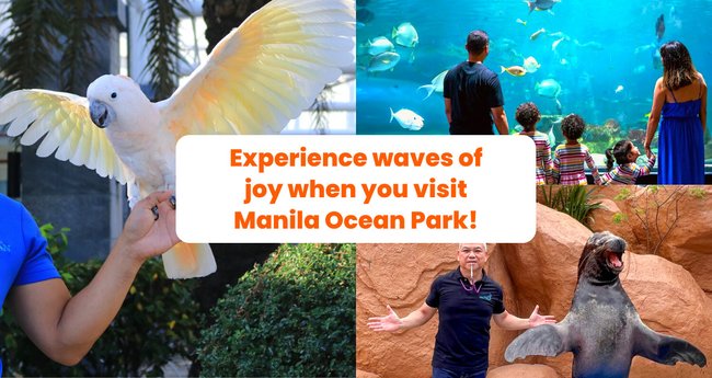 Experience waves of joy when you visit Manila Ocean Park - Klook Travel ...