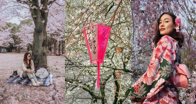 10 Exciting Activities in Japan You Can Only Enjoy in the Spring ...