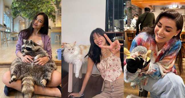 Here are 9 paw-some pet cafes to visit for National Pet Day! - Klook ...