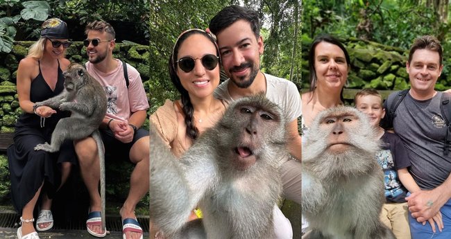 Monkey Mania in Paradise: Your Ultimate Guide to Seeing Monkeys in Bali ...