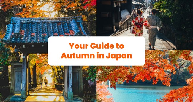 Fall Into Wonder: Your Ultimate Guide to Autumn in Japan This 2023 ...