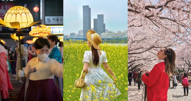 7 Spring Festivals in Korea to Welcome the Season - Klook Travel Blog
