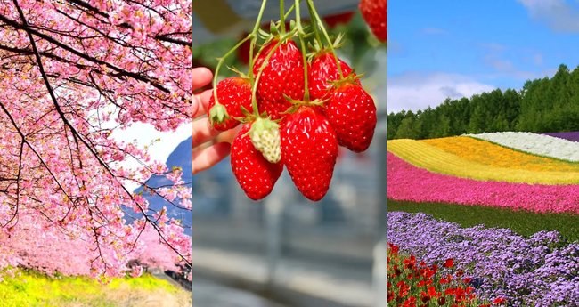 Your Guide to The Best Places to Go During Spring In Japan - Klook ...