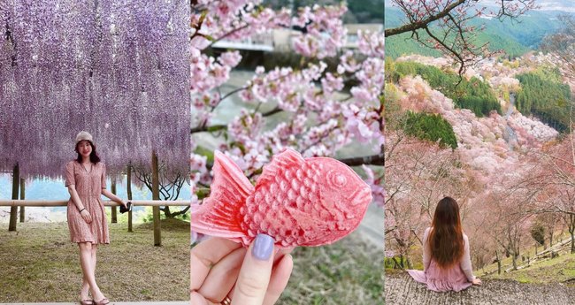 Spring in Japan: Traditions and Best Attractions - Klook Travel Blog