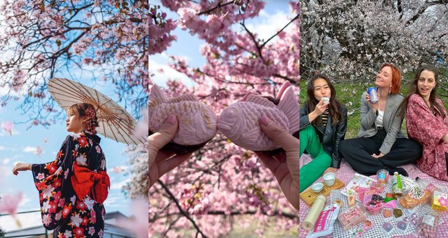 How to Celebrate Hanami: Japan's Cherry Blossom Festivities - Klook ...