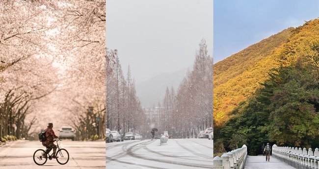 Your Next Holiday Needs This Seasons in South Korea Guide - Klook ...