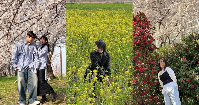 3D2N Busan itinerary: Top places to see cherry blossoms this spring ...