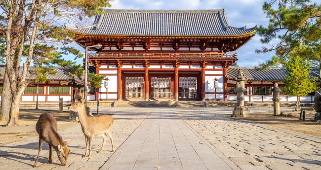 9 Things To Do In Nara: A Day Trip From Osaka - Klook Travel Blog