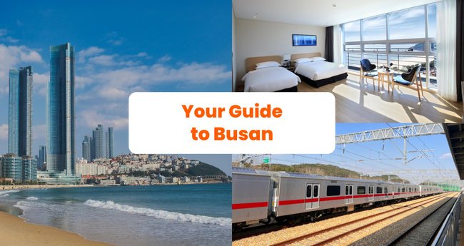 Your Ultimate Busan Travel Guide for 2025: Getting Around, Where to ...
