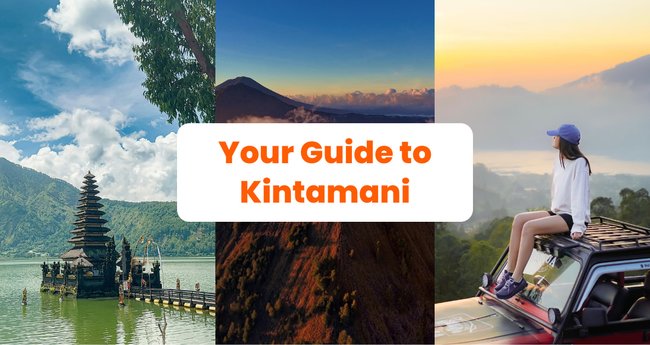 Your Essential 2024 Kintamani Guide: How to Get Around, Activities ...