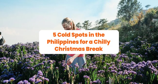 5 Cold Spots in the Philippines for a Chilly Christmas Break - Klook ...