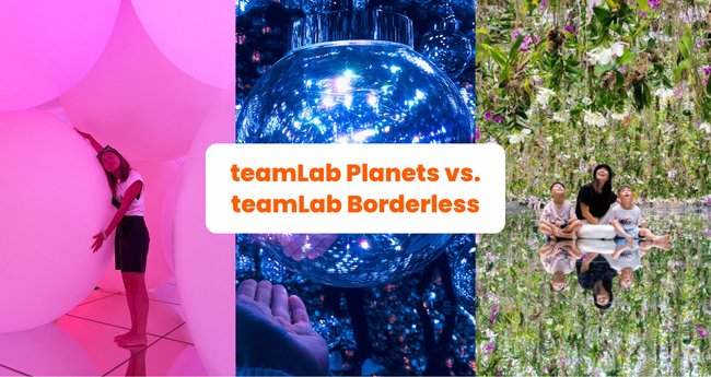 teamLab Borderless vs Planets: How to Enjoy Each One, What to Wear, and ...