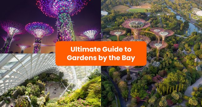 Your Complete Guide to Gardens by the Bay: A Must-Visit Singapore Icon ...