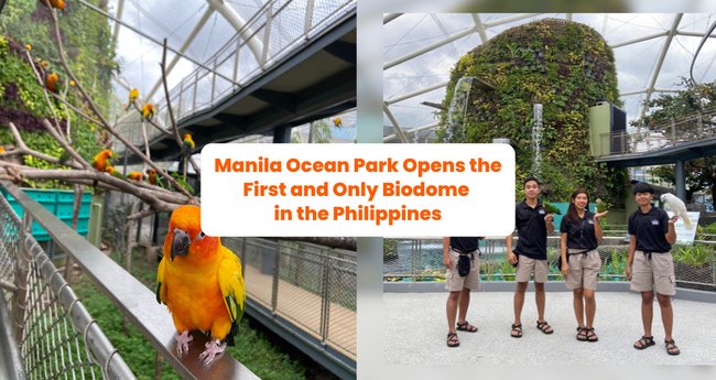 Manila Ocean Park Opens the First and Only Biodome in the Philippines ...