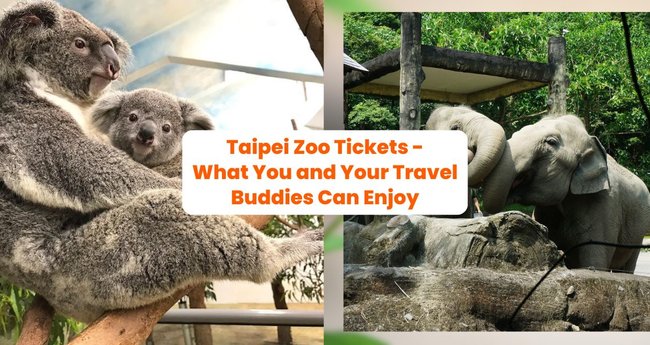 Taipei Zoo Tickets for PHP89 - What You and Your Travel Buddies Can ...