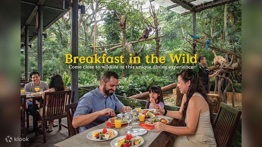 Breakfast in the Wild at Singapore Zoo - Klook Australia