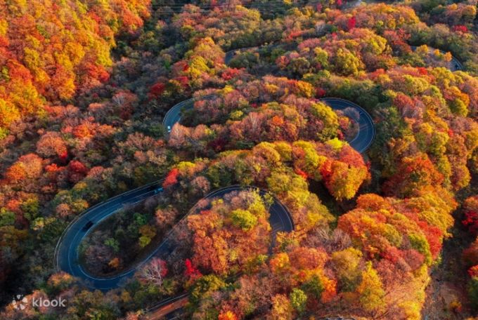 Nikko World Heritage Day Tour from Tokyo - Klook United States