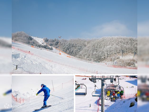 Gangwon-do Nami Island & Elysian Gangchon Ski Resort Day Tour - Klook