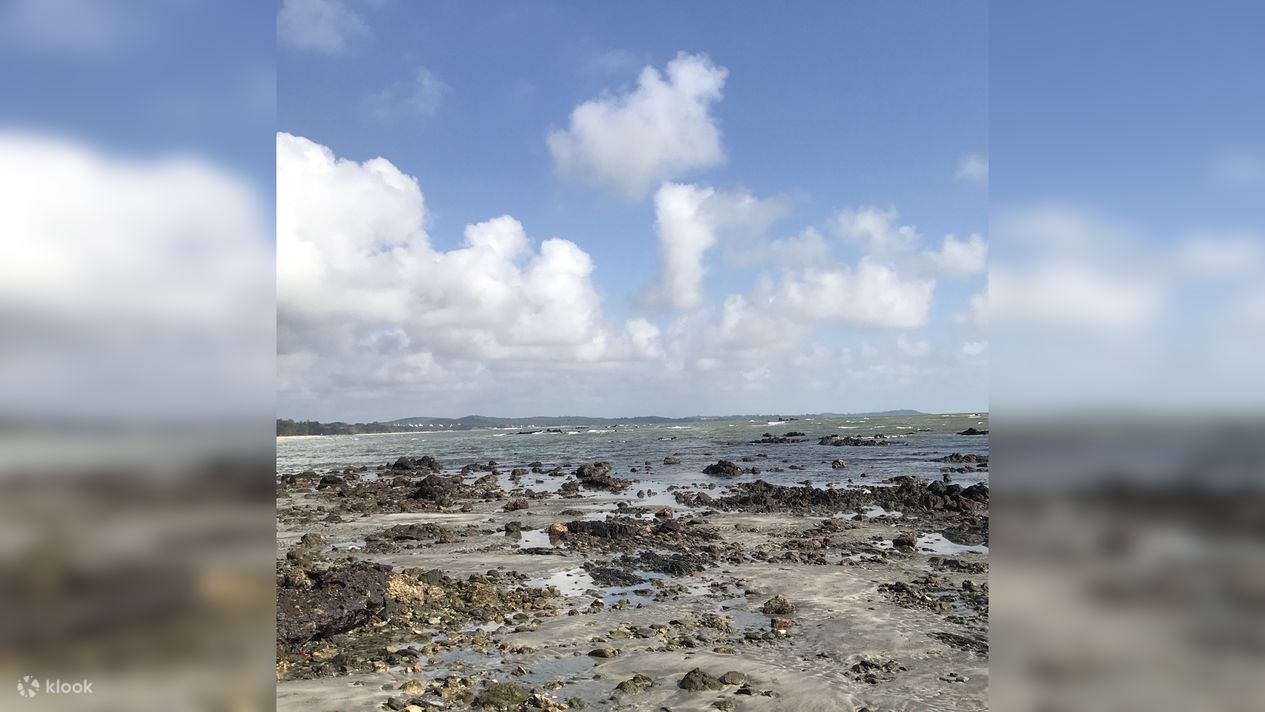 90 Minutes Beach and Tide Pool Walk in Desaru Walking Tour - Klook ...