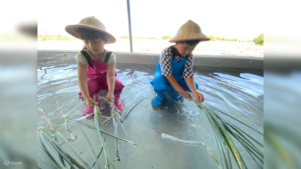 Yilan｜Chu Mi Experience Farm｜DIY Creative Scallion Bread Experience ...