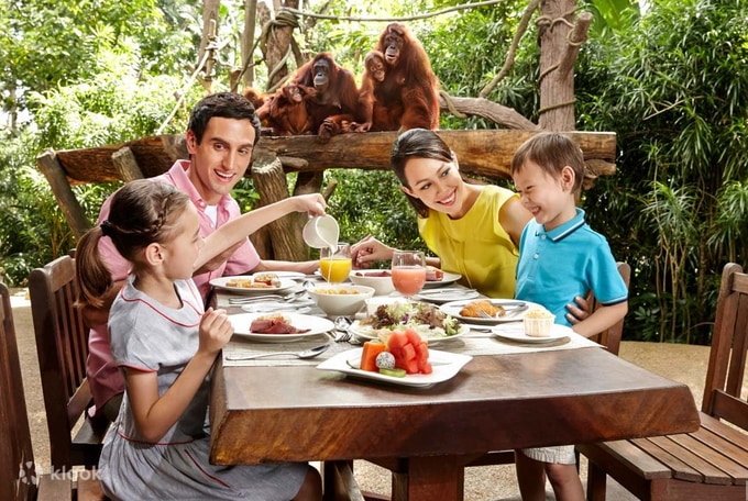 Breakfast in the Wild at Singapore Zoo - Klook