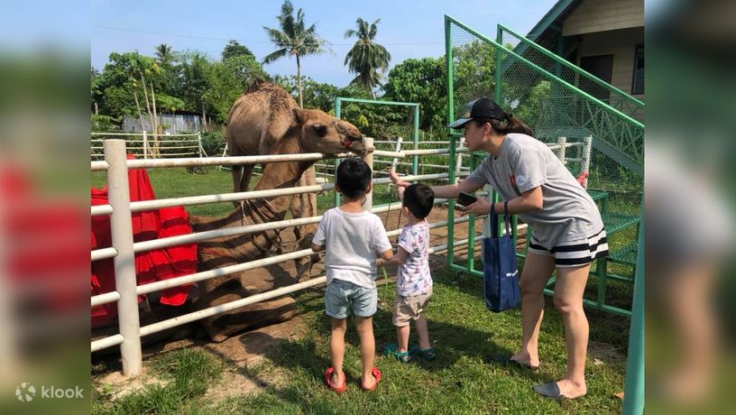 Audi Dream Farm Ticket in Penang - Klook香港