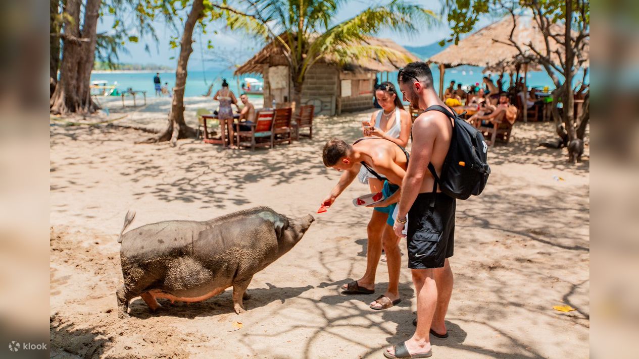 Koh Tan and Pig Island Half-Day Tour by Speed Catamaran - Klook Malaysia