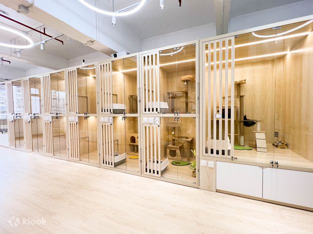 Catwalk Hotel - Cat Hotel in Hong Kong - Klook United States