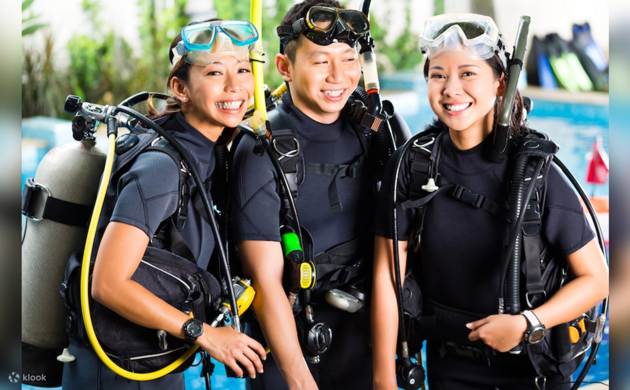 Learn PADI Open Water Diver in Koh Tao with PADI 5 Star CDC - Klook