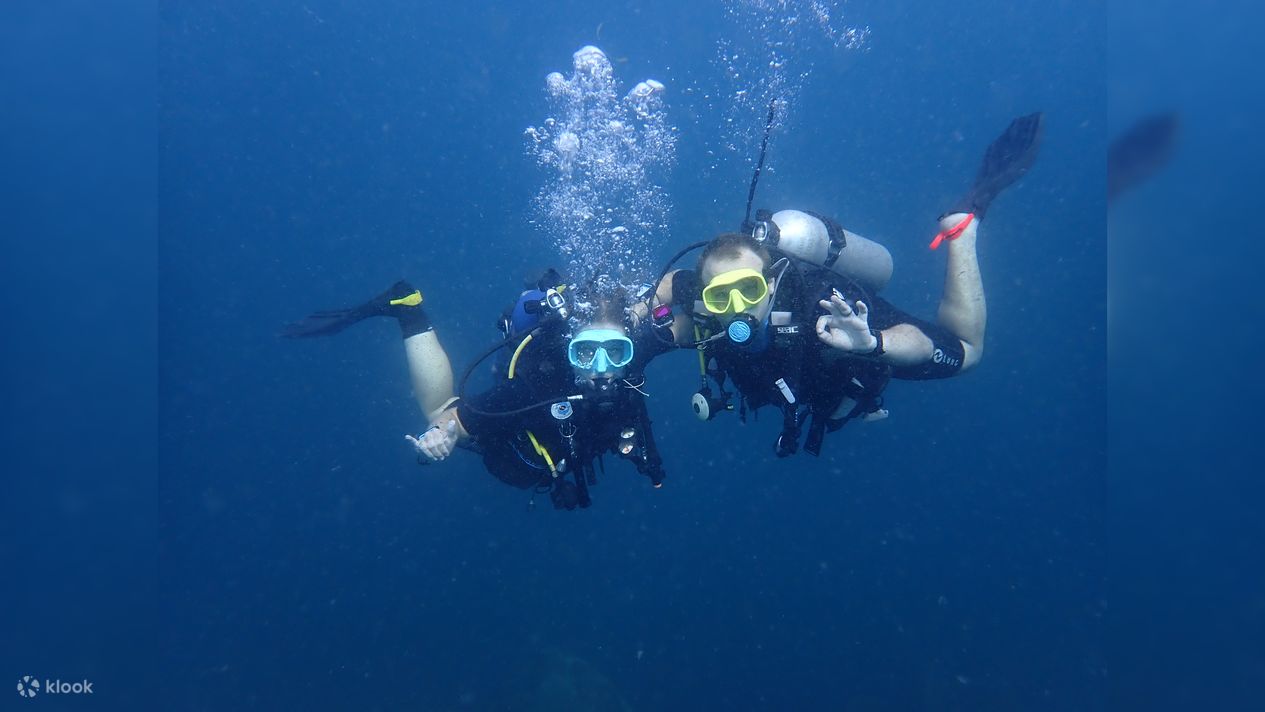 PADI AOW Diver in Koh Chang with PADI 5 Star Dive Center | Explore the ...