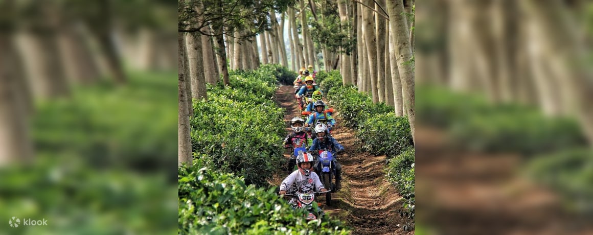 Adventure Trail Trip to Wonosari Tea Plantation - Klook ประเทศไทย