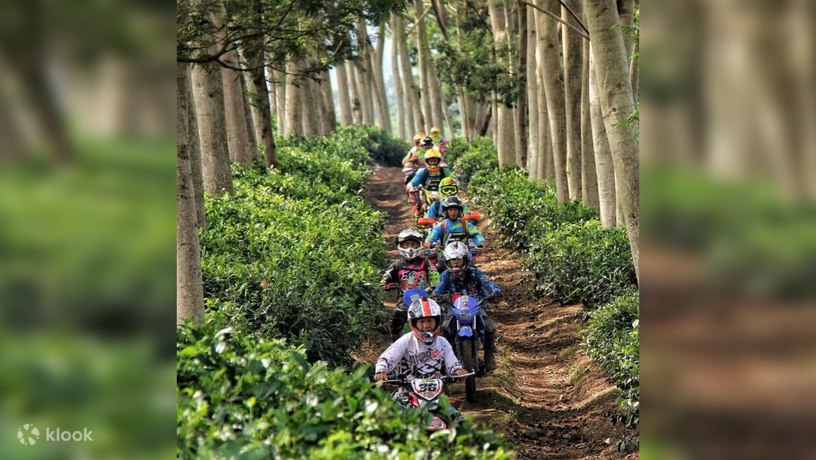 Adventure Trail Trip to Wonosari Tea Plantation - Klook