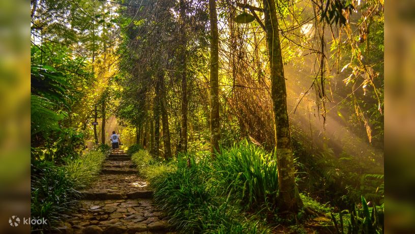 Curug Cilember (Cilember Waterfall) Ticket in Bogor - Klook