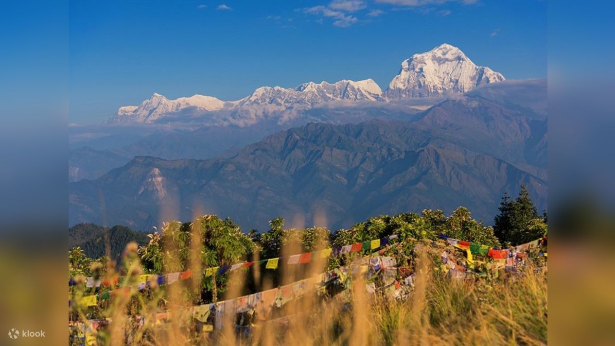 Explore Mountain Majesty: 2 Days Poon Hill Trek from Pokhara for ...