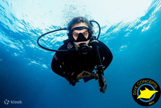 Diving and Open Water Course at Pulau Menjangan Marine Park in Bali ...