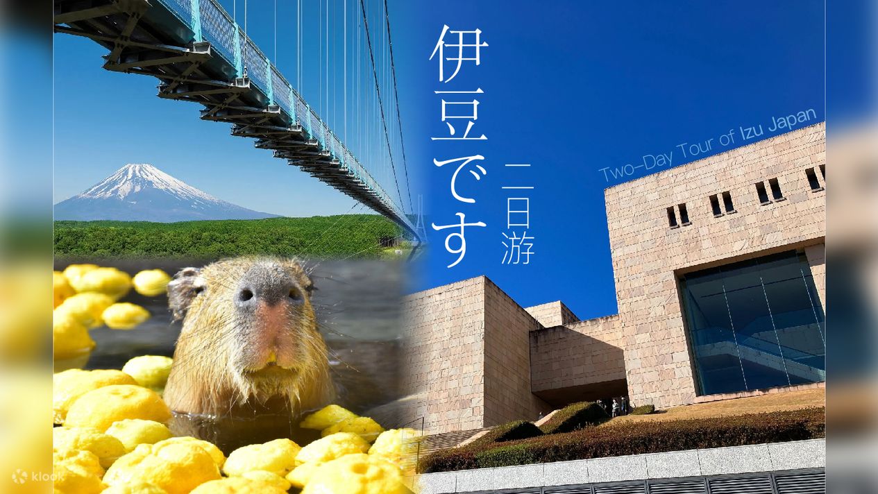 【熱海&伊豆温泉深度二日遊】MOA美術館&來宮神社&三島天空步道&修善寺瀧亭温泉&大室山&城崎海岸二日遊(東京出發） - Klook香港