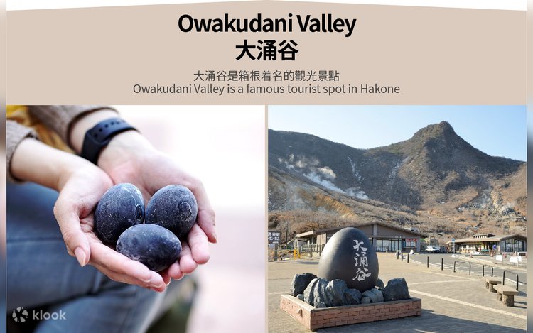 Mt. Fuji & Hakone & Kamakura & Izu Popular Hot Spot & Hot Spring Hotel ...