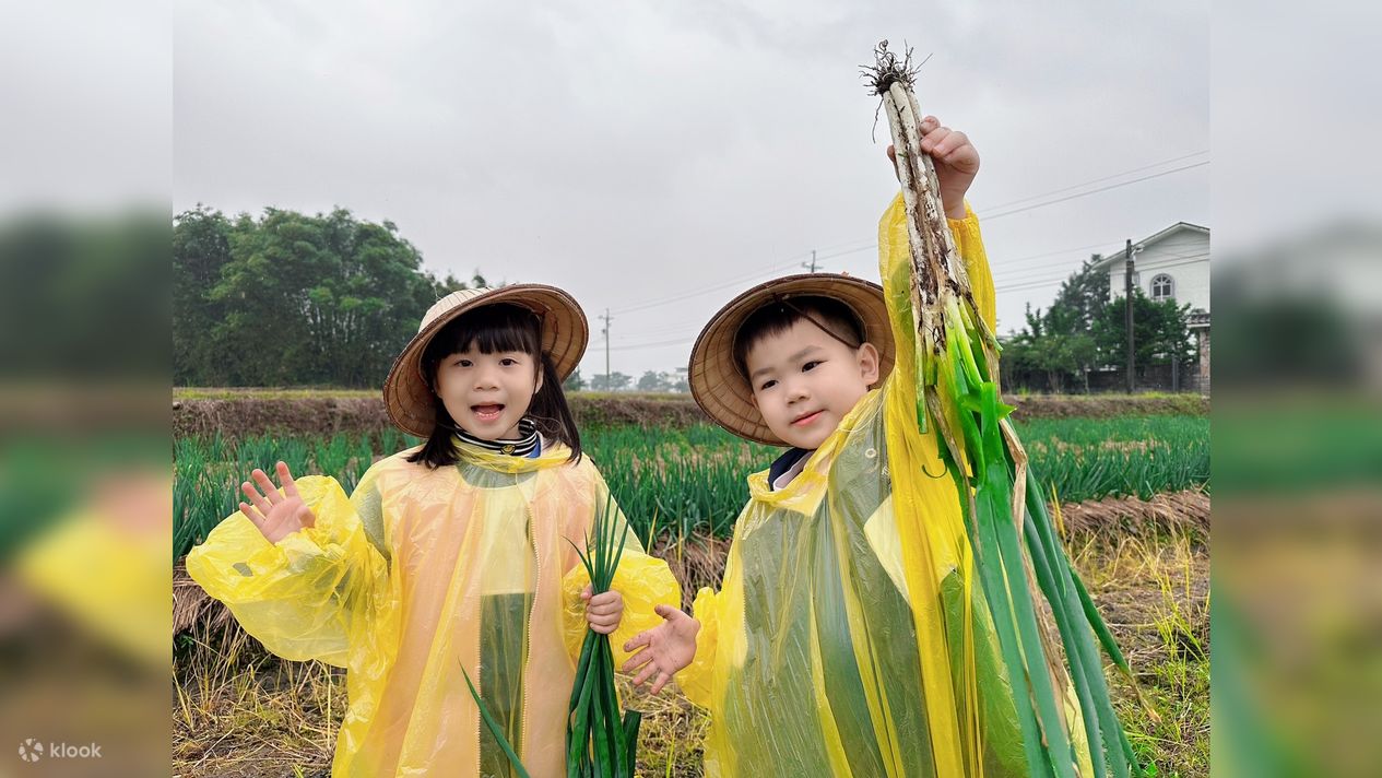 Yilan: Farmer Green Onion Experience Farm - Three Star Green Onion ...