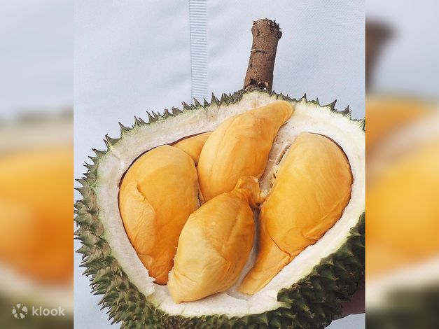 Durian Hours Delivery in Klang Valley - Klook Malaysia