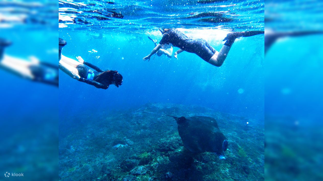 서 - 클룩 Klook 한국