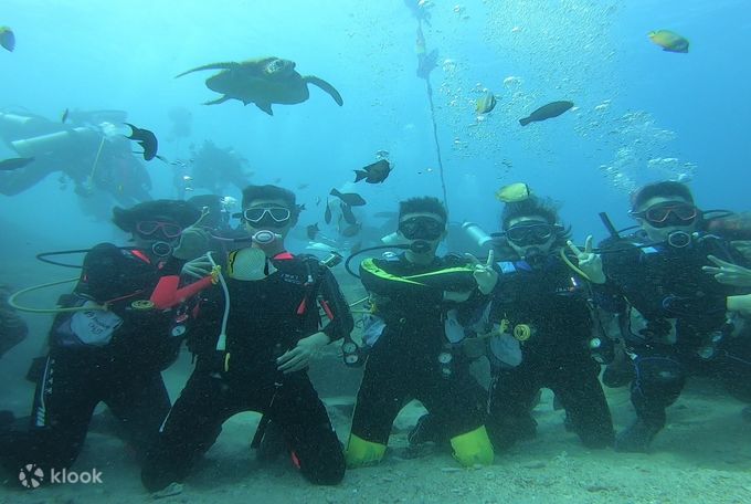 Pingtung: Lambai Island 1 on 1 Scuba Diving Experience by Bear Diving ...