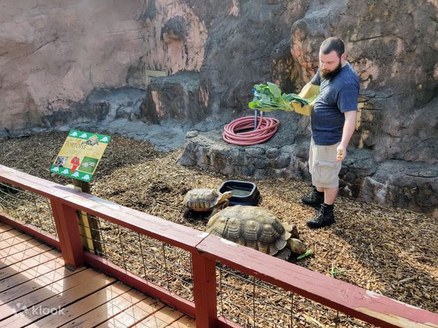 RainForest Adventures Discovery Zoo Admission - Klook