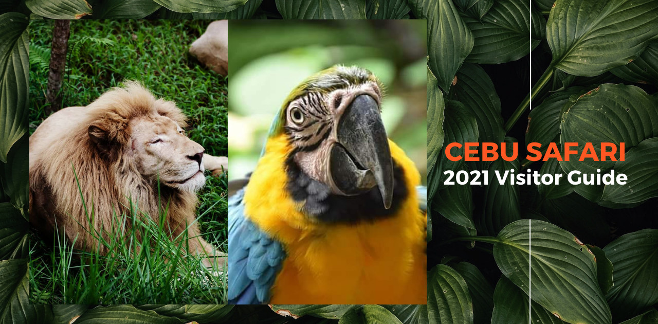What You Need To Know Before Visiting Cebu Safari: Entrance Fees, New ...