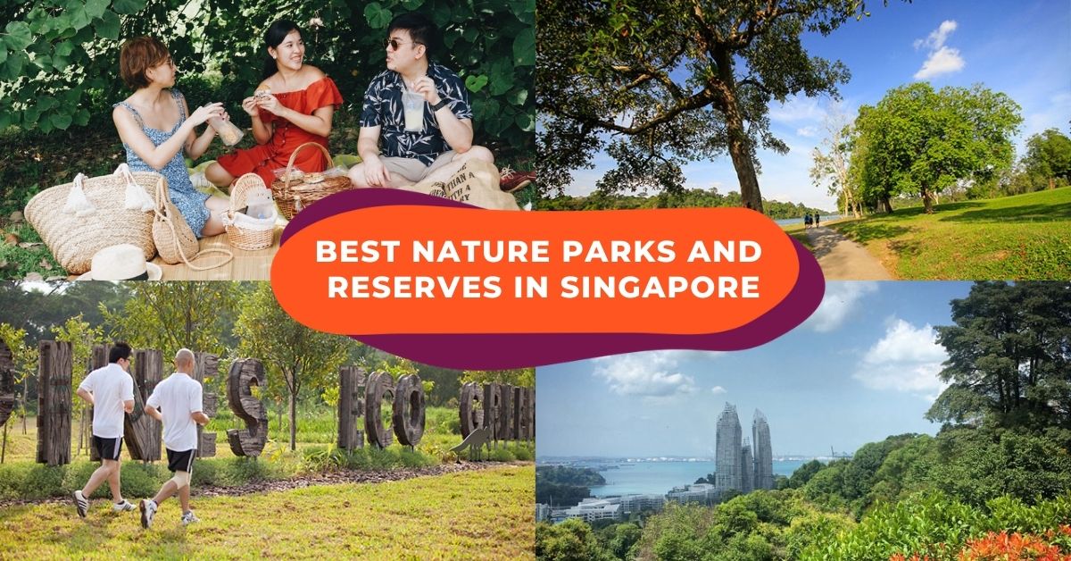 20 Nature Parks & Nature Reserves To Visit In Singapore For A Scenic ...