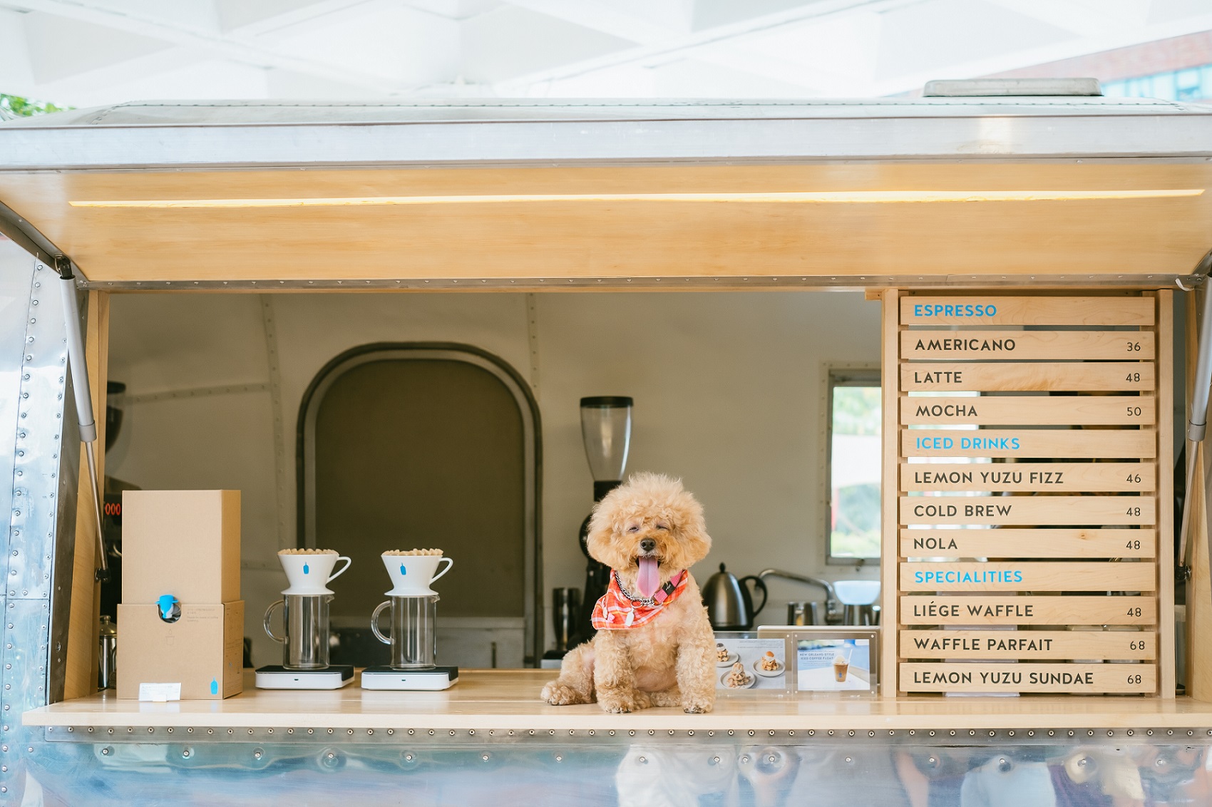 Blue Bottle Coffee Hong Kong Shatin Pop-Up Cafe