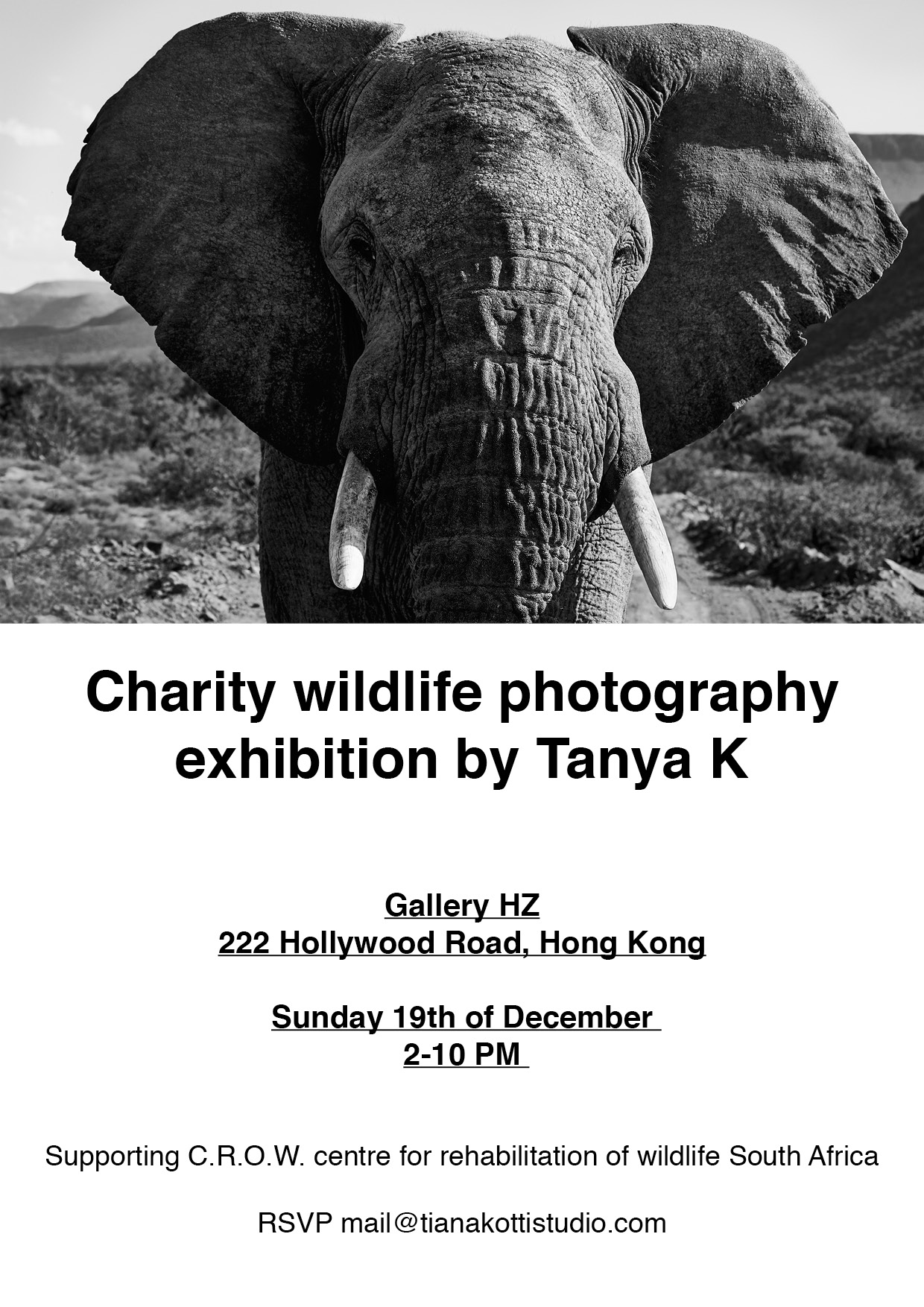 Charity Wildlife Photography Exhibition