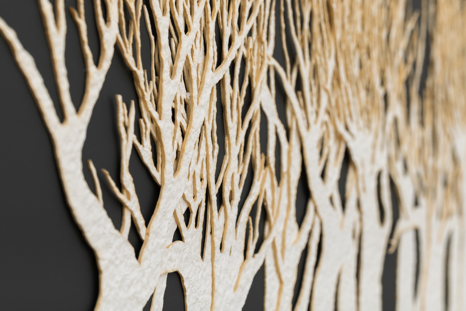 Han Sai Por: The Forest and Its Soul